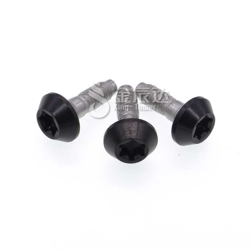 Buy Pvd Coating Screw Supplier | Torx oval head Pvd Coating Screw | Pvd ...