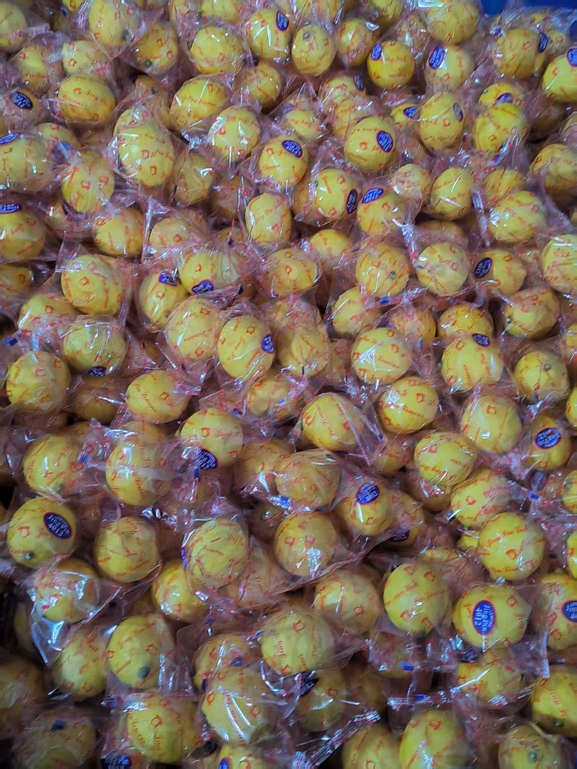 Buy Fresh Citrus Lemon from Li'an Chengyuan (Sichuan) Trading Co., Ltd ...