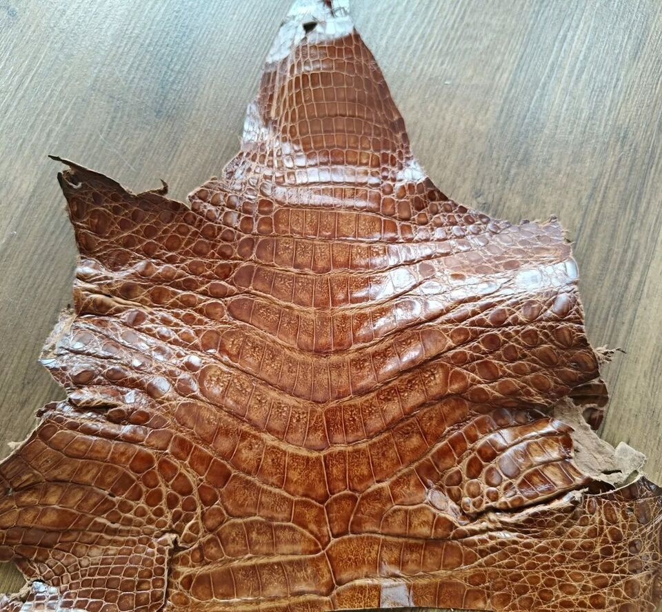 Buy Crocodile Skins from GT Groups South Africa, South Africa ...