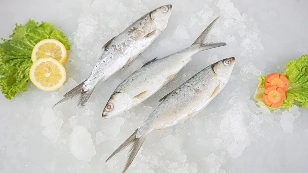 Buy Milkfish from PT Agromina Wicaksana, Indonesia | Tradewheel.com