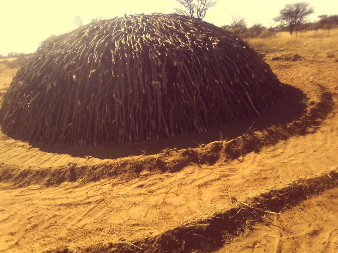 Buy Mushara Earth Method Charcoal from NOCABCCT, Namibia | Tradewheel.com