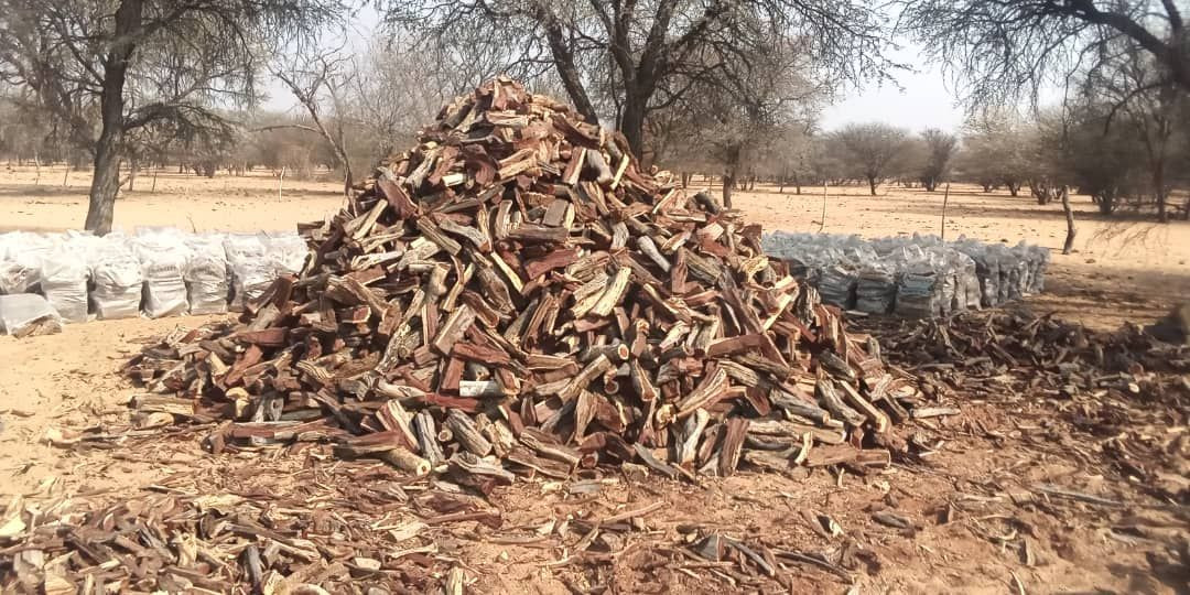 Buy Chamelthorn Firewood from NOCABCCT, Namibia | Tradewheel.com