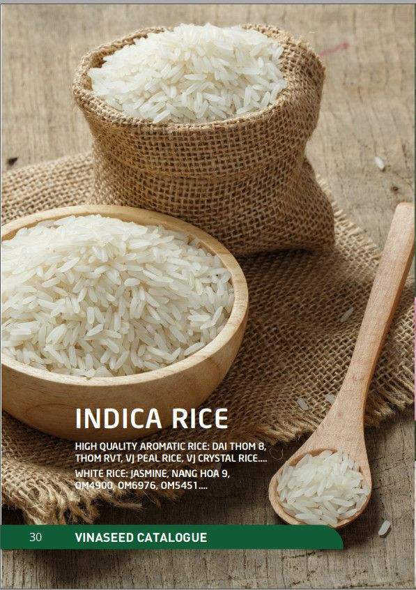 Buy Rvt Rice from VIETNAM NATIONAL SEED GROUP JOINT STOCK COMPANY ...