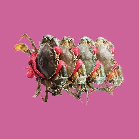 Buy Soft Shell Mud Crab from Ahasan Trading Engineering & Construction ...