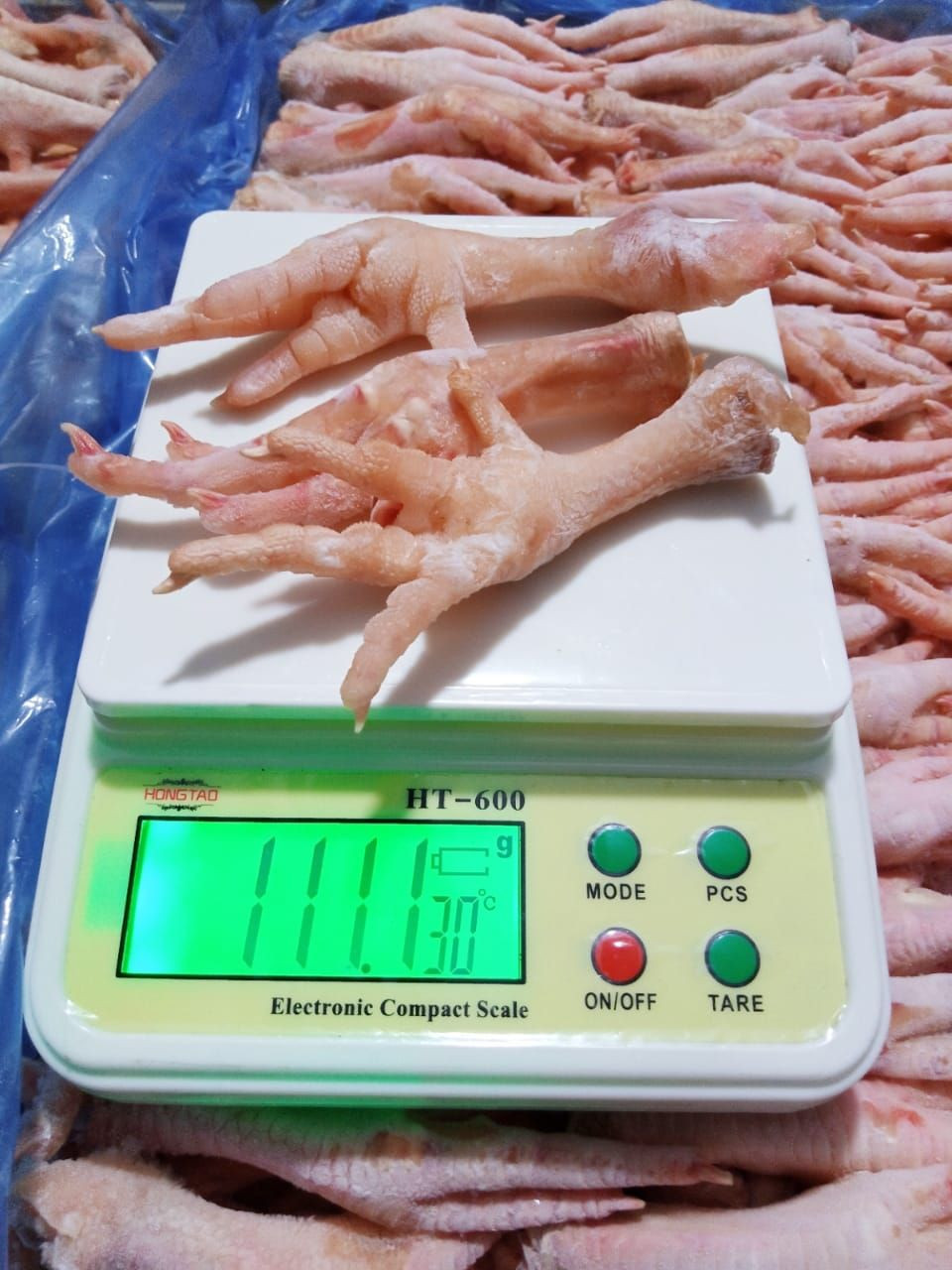 Buy Frozen Chicken Paws from interfit project management, Malaysia ...