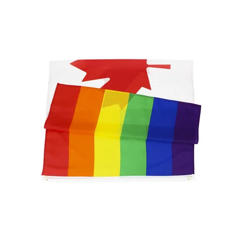 Buy 3x5ft Pansexual Demisexual Lesbian Asexua Lgbtqia Lgbt Bisexual ...