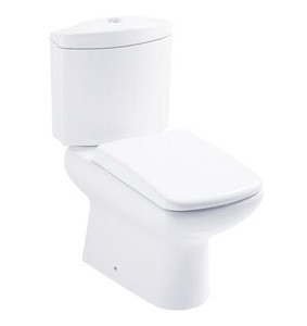 Buy Arabic Washdown Muslim Toilet Types Of Toilet Bowls from Chaozhou ...