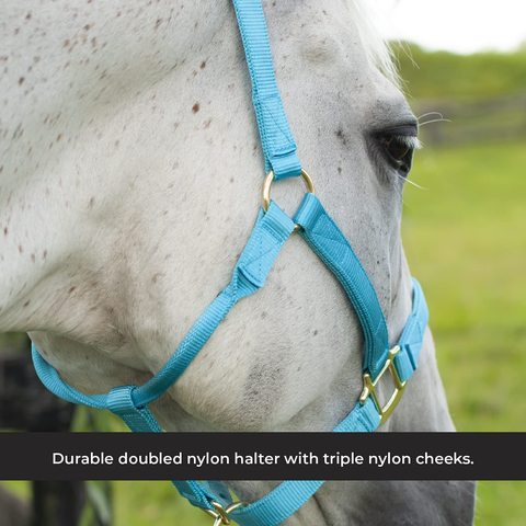 Buy Custom Practical Simple Thickened Horse Halter Adjustable Nylon ...