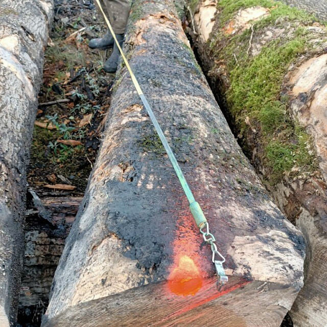 Buy European Wood Red Oak Padouk Log White Ash Sawn Logs from CHYR ...