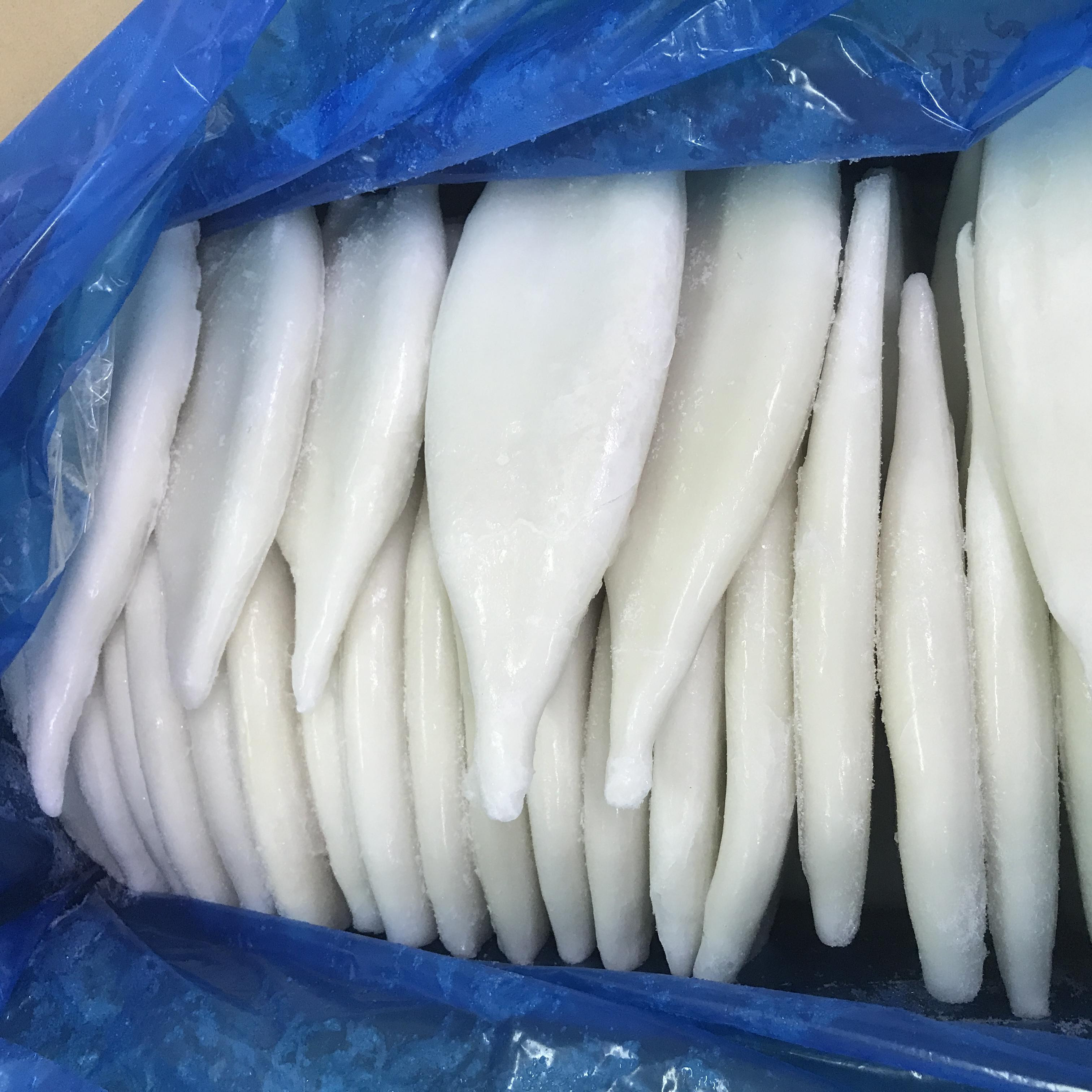 Buy Frozen Squid Tube Manufacturers Squid Tubes Frozen Calamari U5 U10 ...