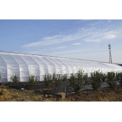 Buy Greenhouse Clear Plastic Film Polyethylene Covering 6 Mil Pe ...