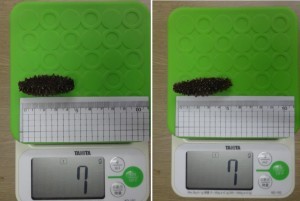 Buy Japanese Companies Sugar-free Dried Trepang Snack Sea Food For Sale ...