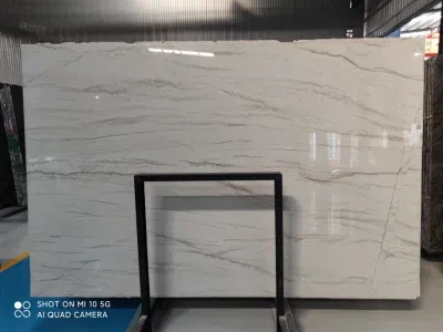 Buy Mont Blanc White Quartzite Monte Bianco Quartzite Slab from Xiamen ...