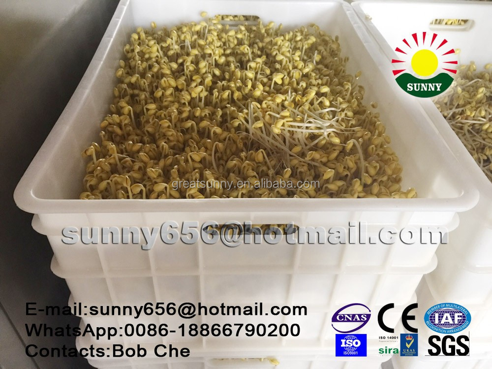 Buy New Bean Sprouts Growing Machine, Full Automatic Mung Bean Sprout ...