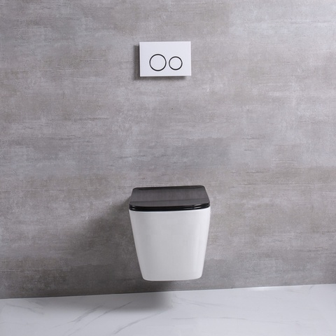 Buy New Modern Ceramic Sanitary Wall Hung Rimless Wc Toilet With Black ...