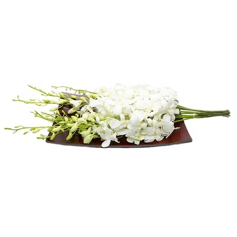 Buy Orchid White Fresh Cut Flowers 500 Stems/box from ROYAL THAI ...