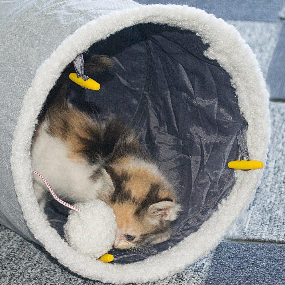 Buy Rena Pet Foldable Good Quality Interactive Pet Crinkle Long Cat ...