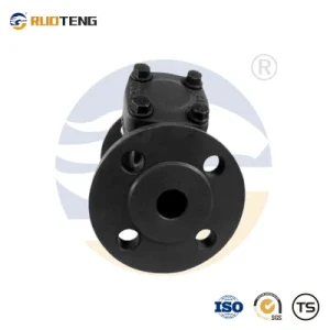 Buy [ruoteng] A105/f304/f316 Forged Y Strainer/filter/ Flanged/bw/sw/ Threaded Ends from ...
