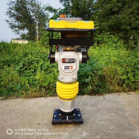 Buy Tamping Jumping Jack Remmer With Honda Gasoline Enging Rammer For ...