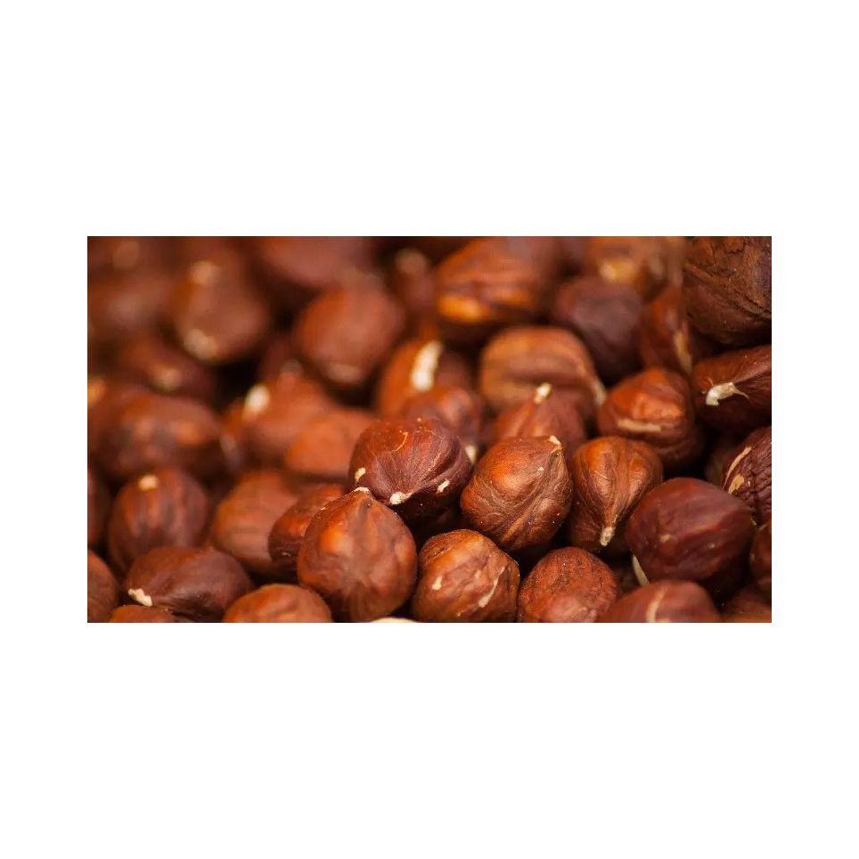Buy Top Quality Raw Dried /hazel Nuts Hazelnuts At Wholesale from ...