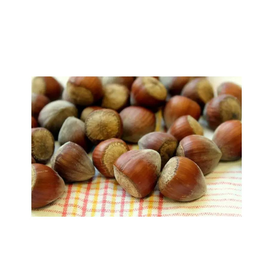 Buy Top Quality Raw Dried /hazel Nuts Hazelnuts At Wholesale from ...