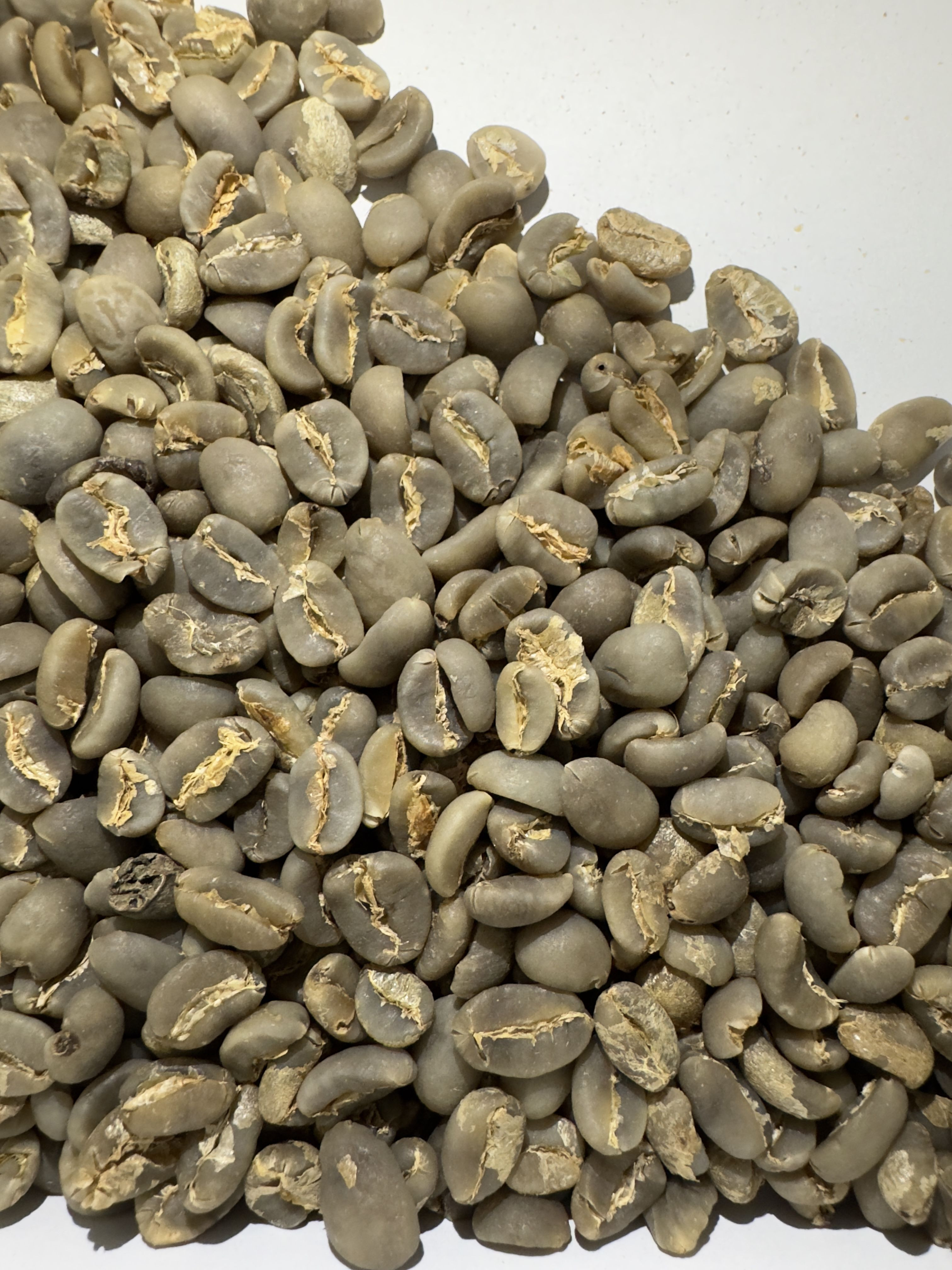 Buy Toraja Arabica Green Coffee Beans from Warsa Artha Harmoni ...