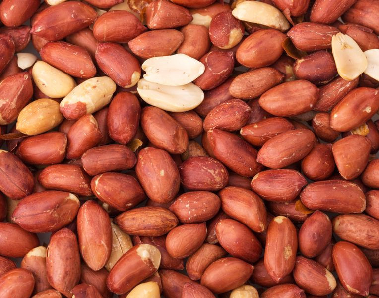 Buy Peanuts from Fast Trade, Sudan | Tradewheel.com
