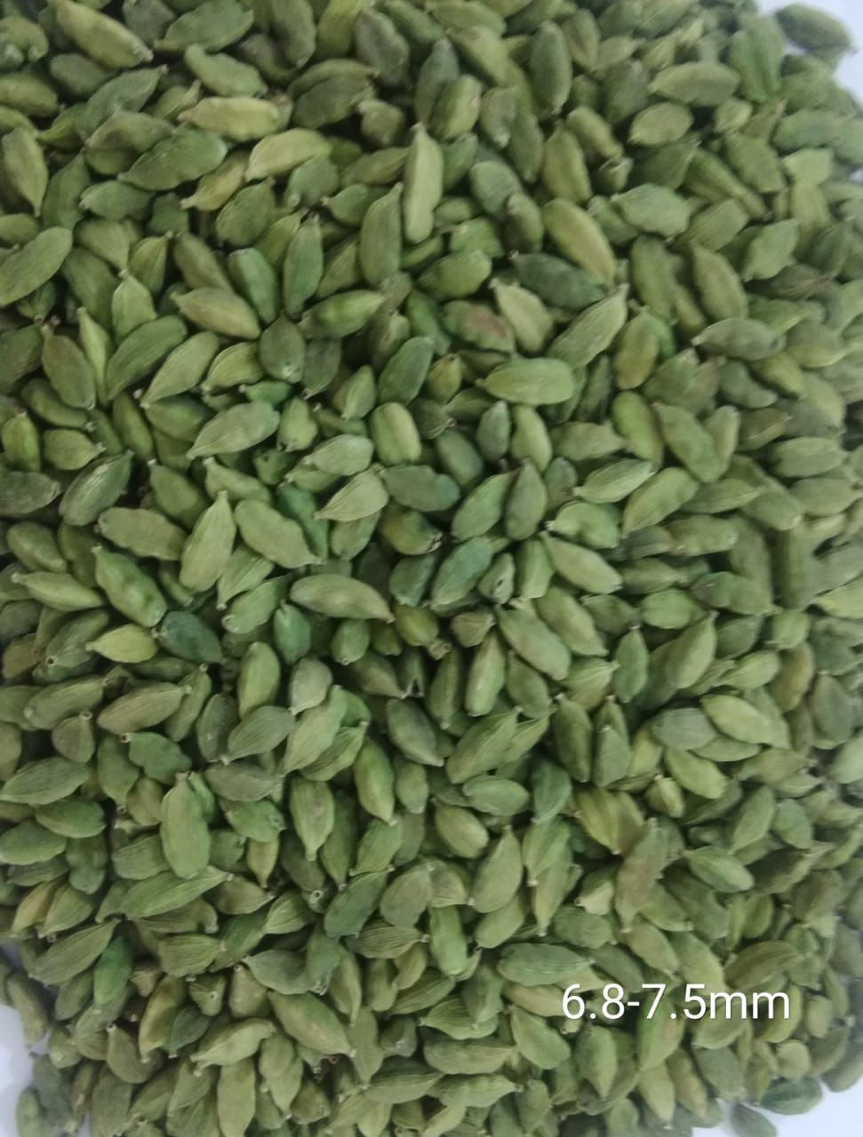 Buy Cardamom from Avaniko Exports, India | Tradewheel.com
