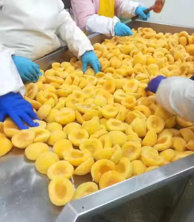 Buy Frozen Peach Bulk from RIZHAO Jin Gu Yuan Agricultural Development ...