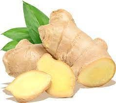 Buy Organic Fresh Ginger / Dry Ginger from THE T JAY LTD, Cameroon ...