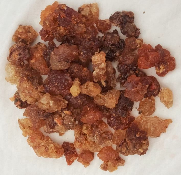 Buy Commiphora Myrrha from Arabia Plants, Yemen | Tradewheel.com