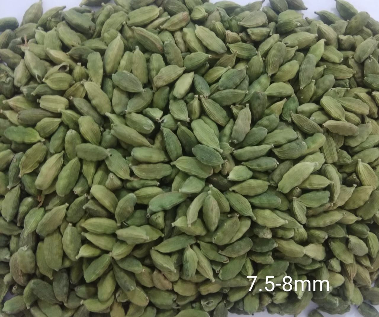 Buy Cardamom from Avaniko Exports, India | Tradewheel.com