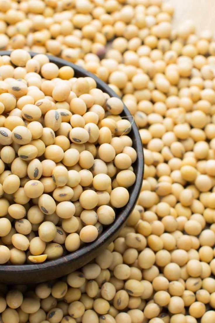 Buy Well Dried Soybeans from Company - KSD export, Nigeria | Tradewheel.com