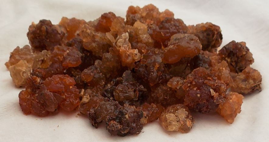 Buy Commiphora Myrrha from Arabia Plants, Yemen | Tradewheel.com