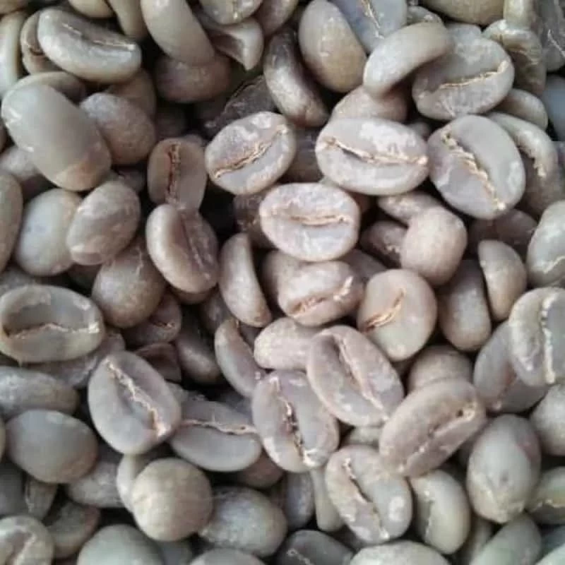 Buy Java Robusta Green Bean Coffee from PT.INA INTERNATIONAL TRADE ...