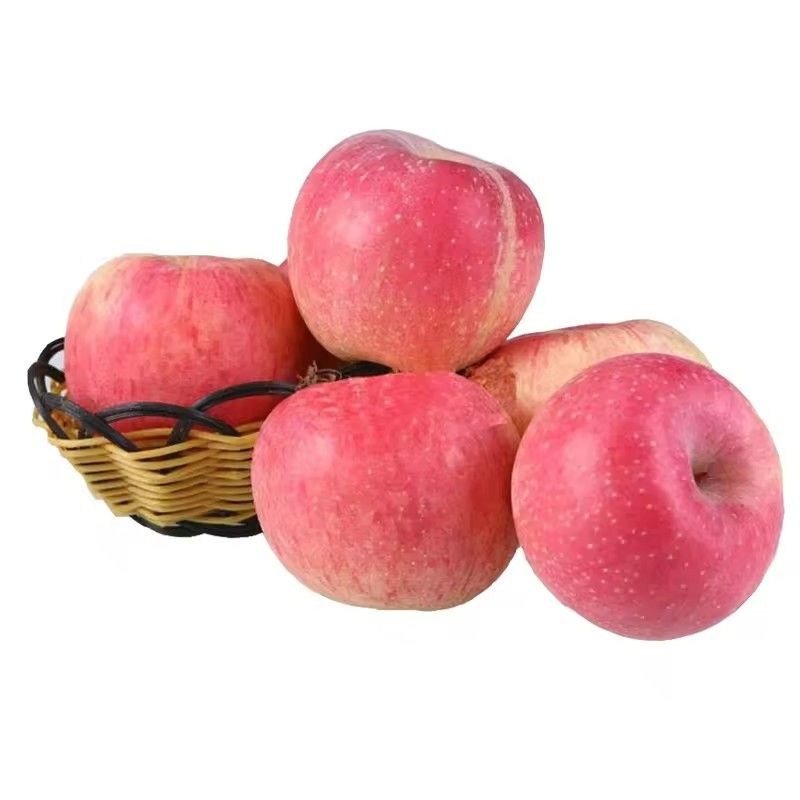 Buy Organic Fruit Fresh Fuji Apple from Yiyuan County Everyone Million ...
