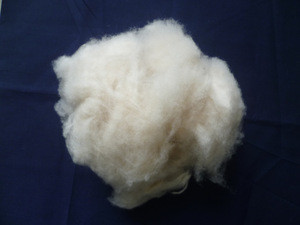 Buy 16.0mic/38mm Fine Dehaired Goat Cashmere Fiber Lt. Grey For Sale ...