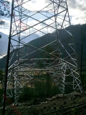 Buy Bionic Cell Towers Camouflaged Tree Communication Tower from ...