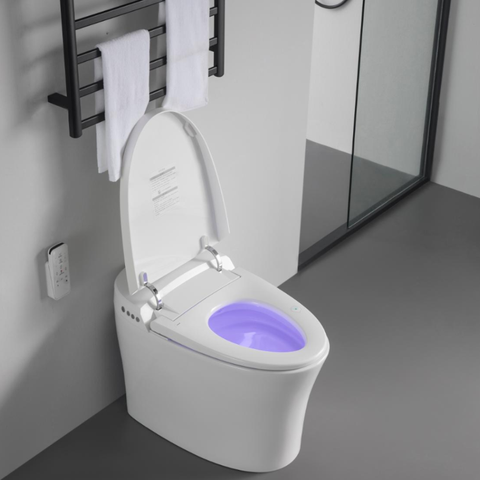 Buy European Luxury Ceramic Bathroom One Piece Bidet Toilet Electric Wc ...