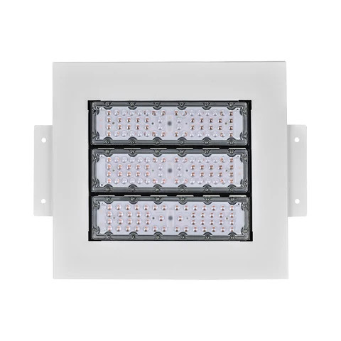 Buy High Lumens Output 100w 150w 200w Ip65 Outdoor Canopy Light Gas ...