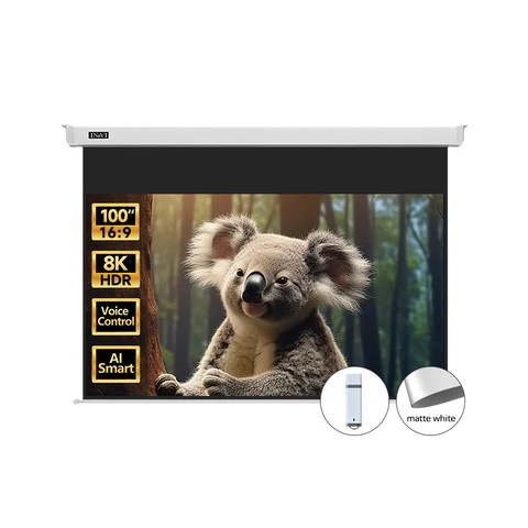 Buy 100 Inch Motorized Projector Screen 16:9 8k Matt White Standard ...