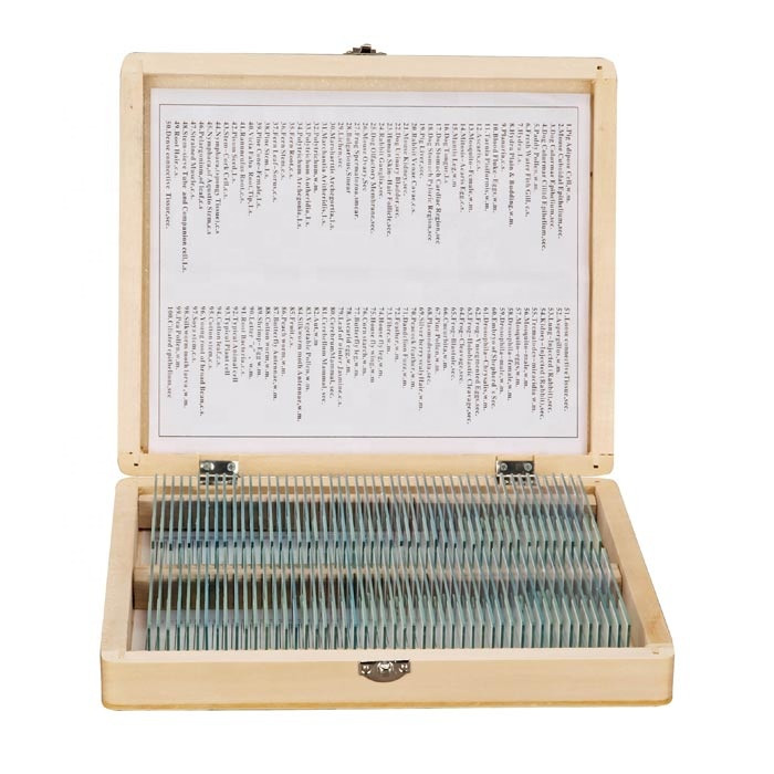 Buy Middle School Used Histology Glass Microscope Slides Microscope ...