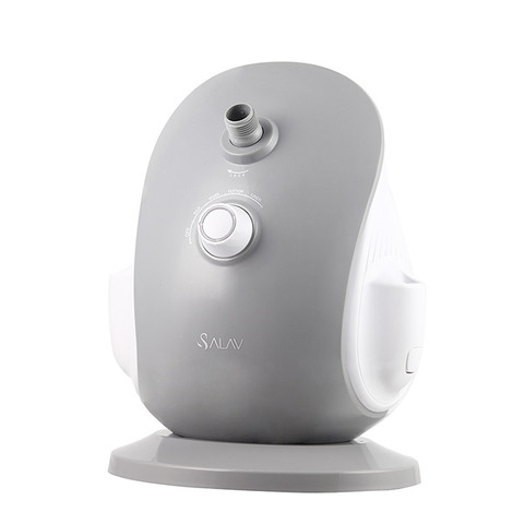 Buy Salav Customized Steam Iron And Antiseptic Clothing Commercial ...