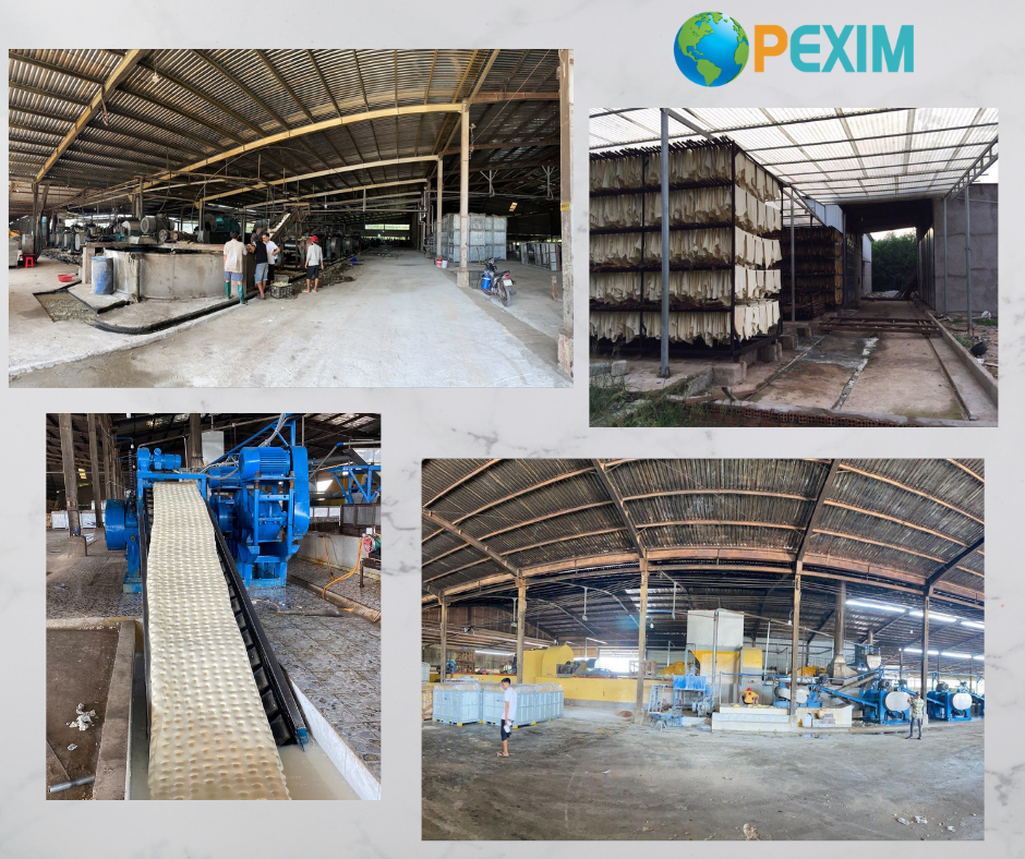 Buy Ribbed Smoke Sheets from Phuc Nguyen Export Import and Investment ...