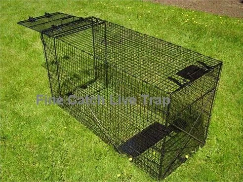 Buy Folding Dog Trap For Hunting from Qingdao Yijia Huayi I/E Co., Ltd ...