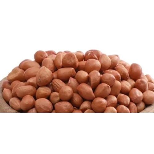 Buy Kuber Indian Groundnut Seeds from PIYALI AGRO, India | Tradewheel.com