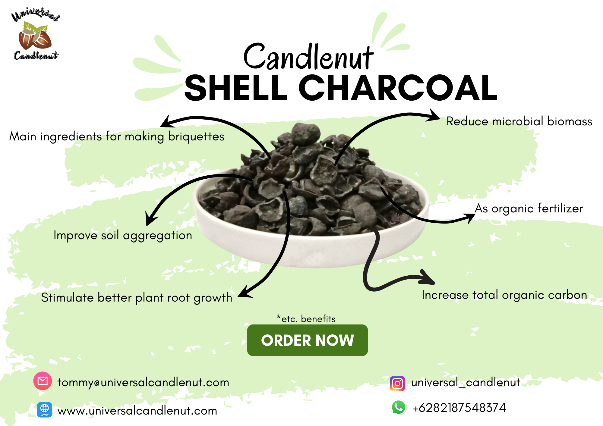 Buy Candlenut Shell Charcoal from Universal Candlenut Indonesia ...