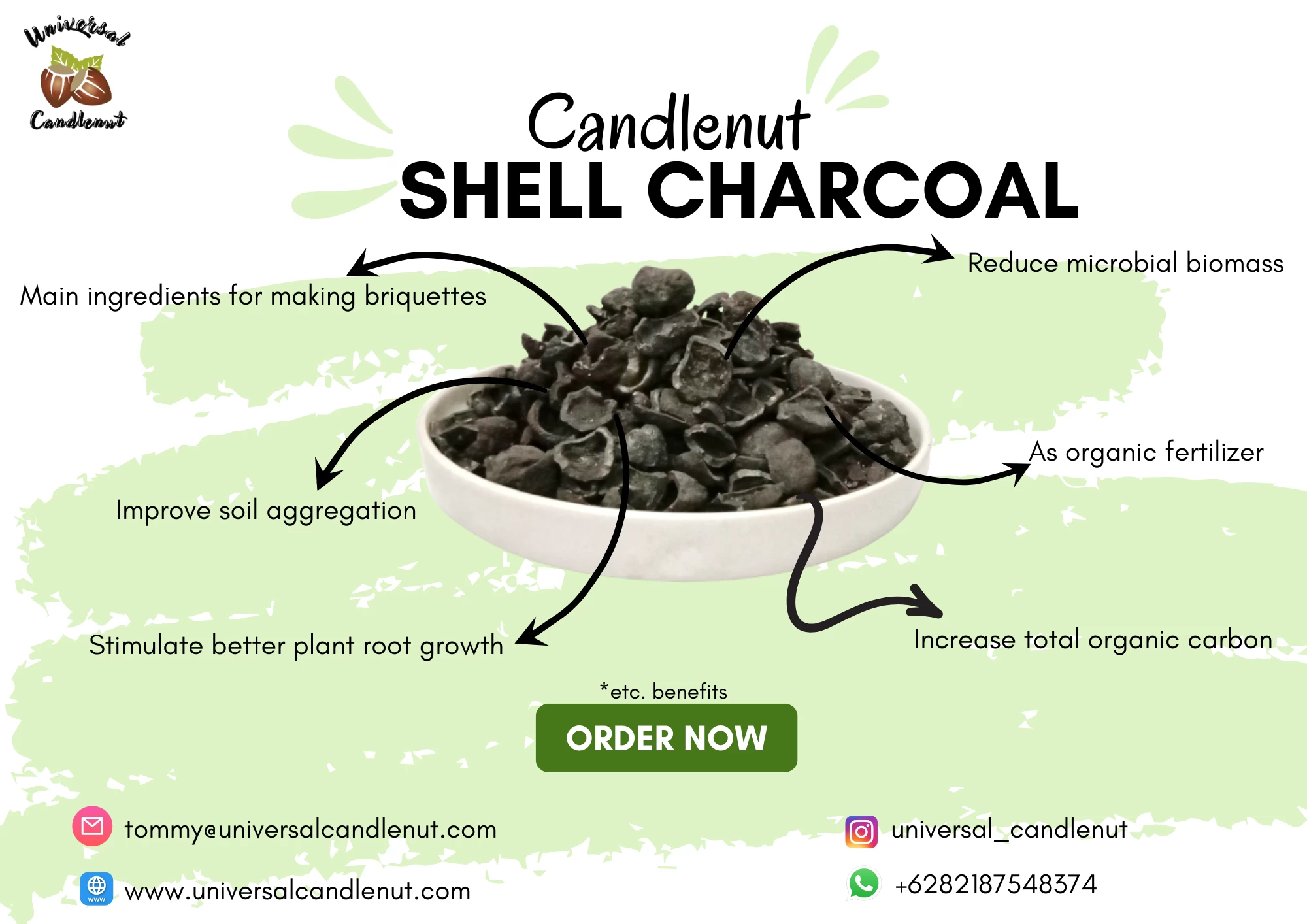Buy Candlenut Shell Charcoal from Universal Candlenut Indonesia ...
