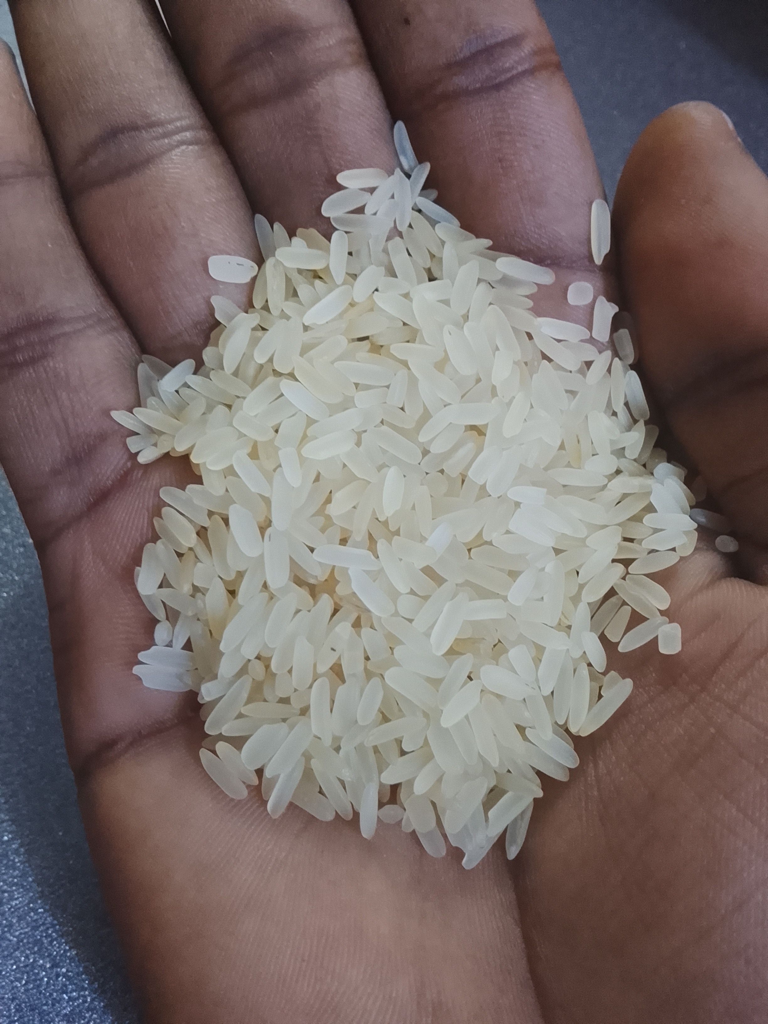Buy Rano Rice from AA RANO RICE MILL, Nigeria | Tradewheel.com