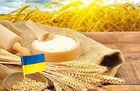 Buy Type 550 / Wheat Flour Premium Grade from Company - Omaid nassim ...